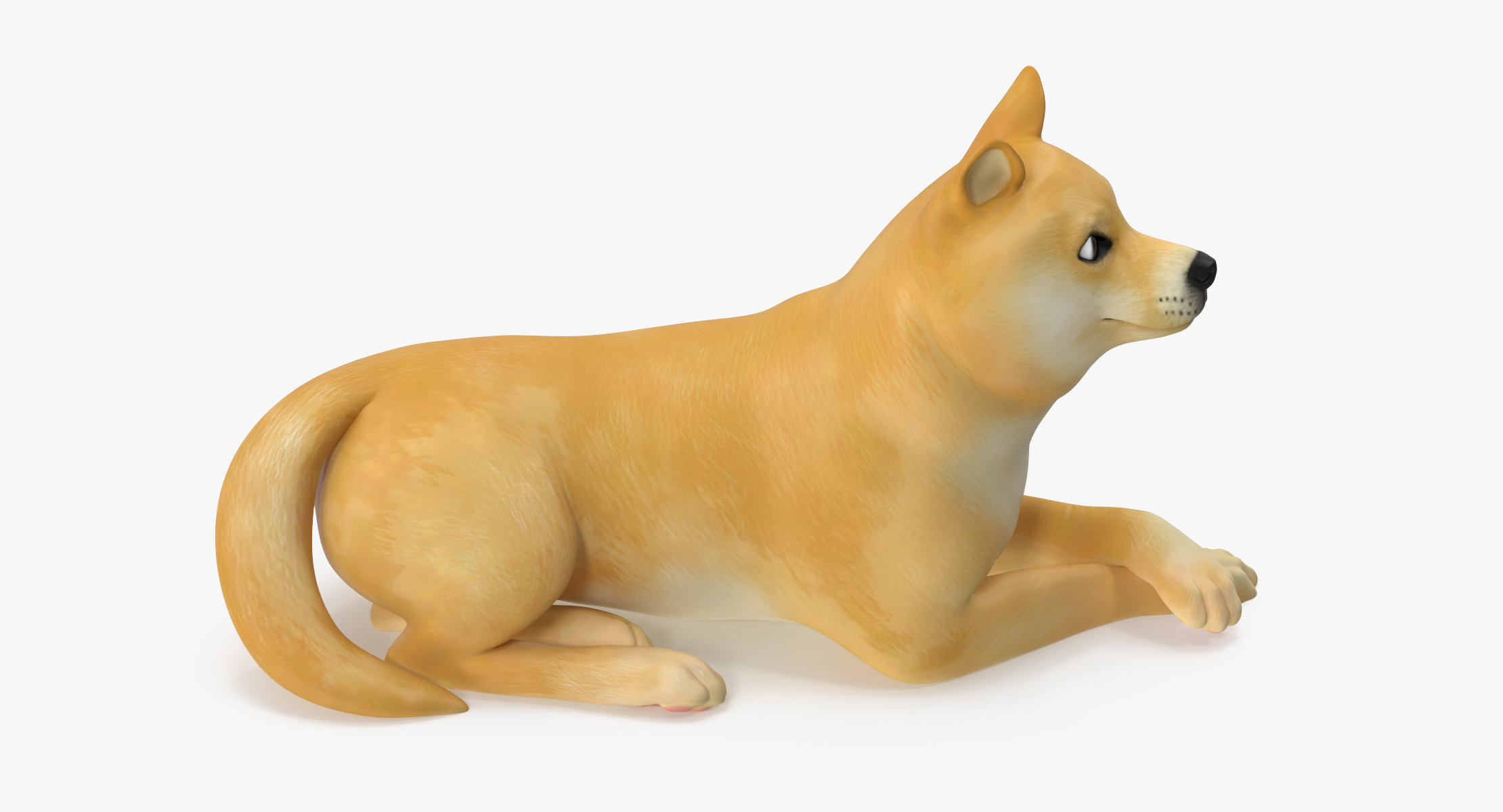 dog doge 3d max