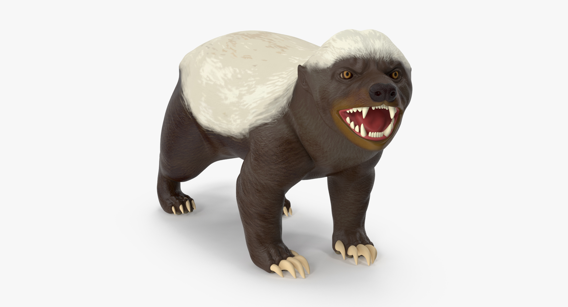 3d honey badger model