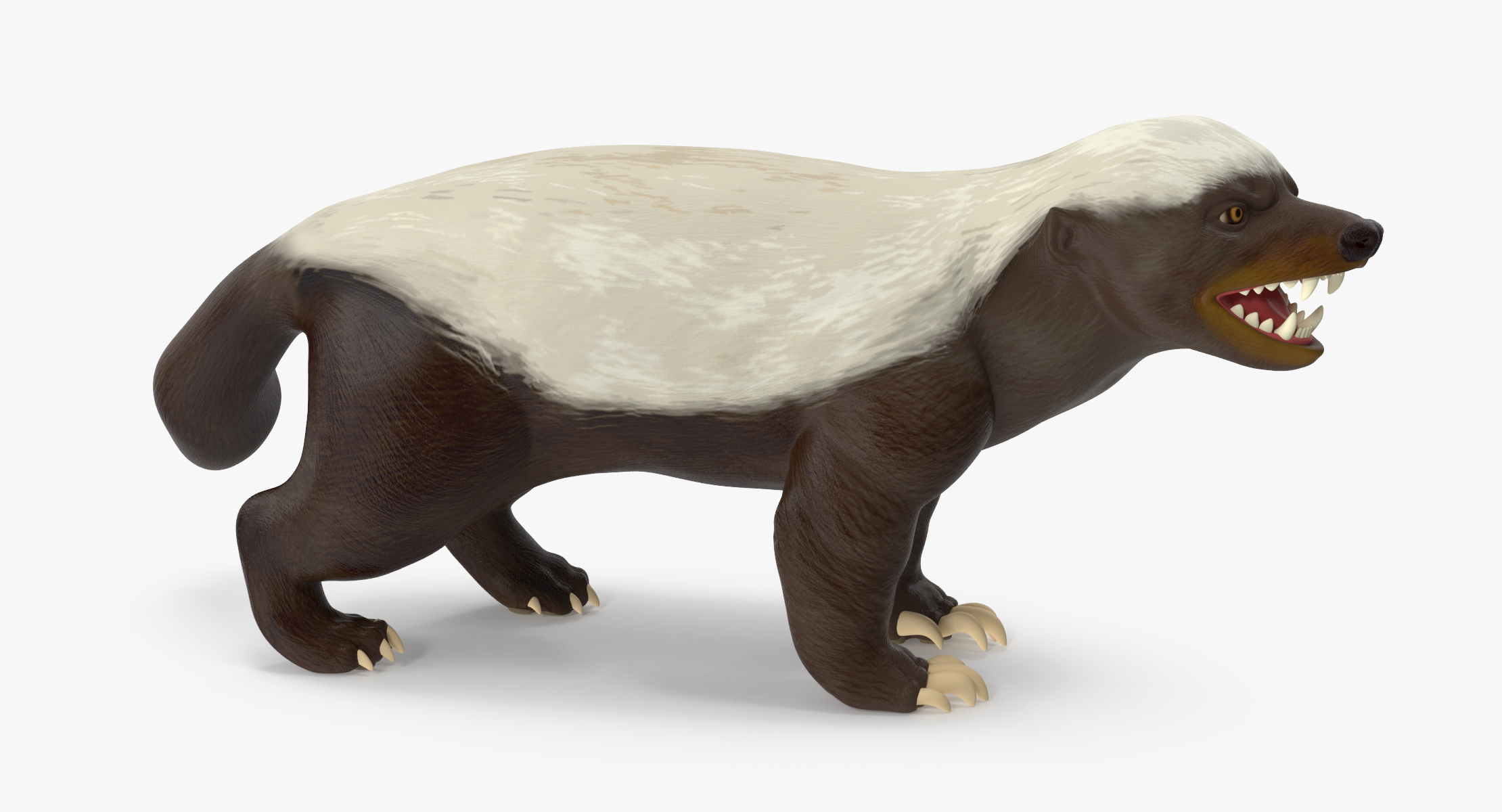 3d honey badger model