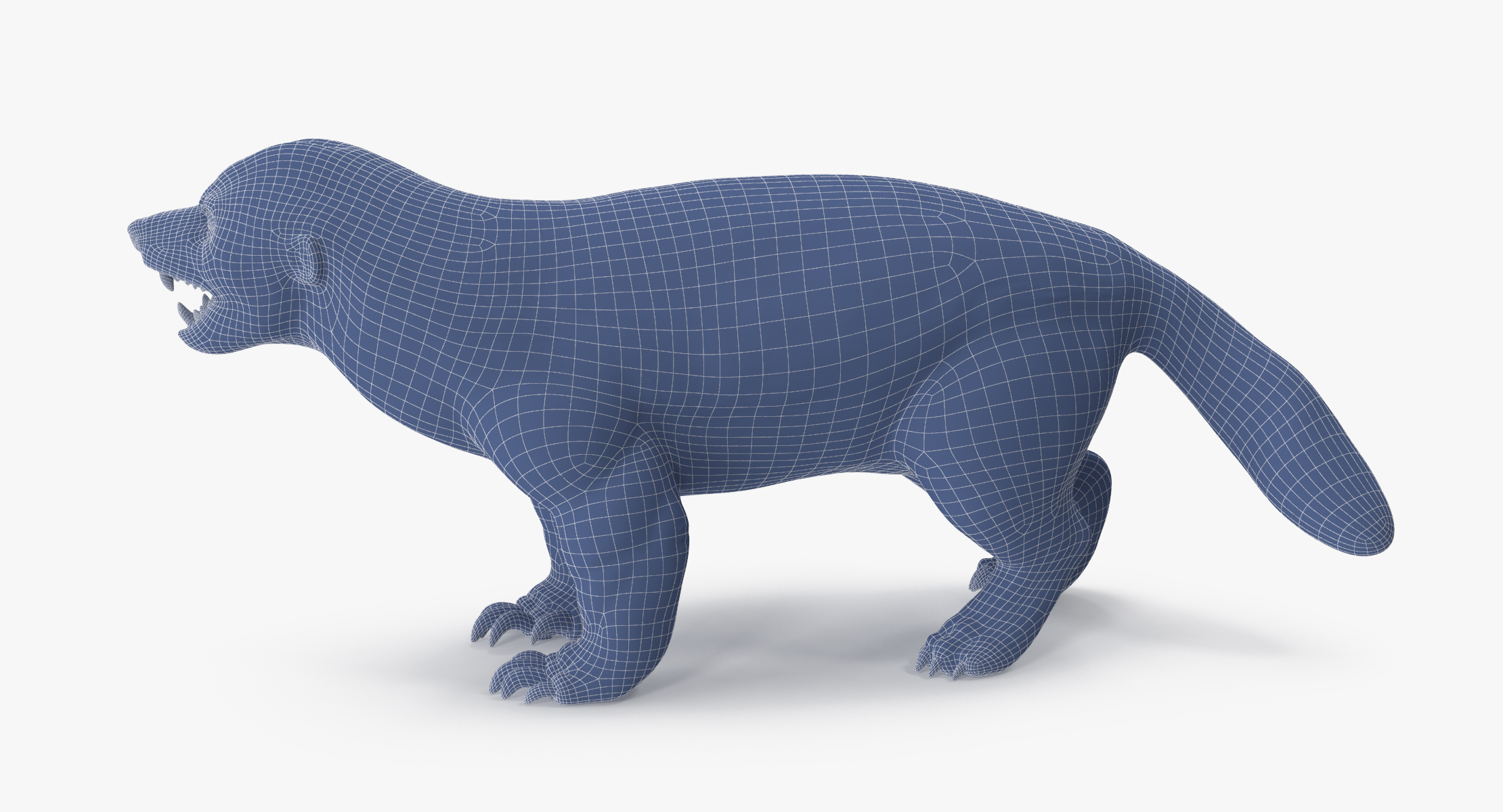 3d honey badger model