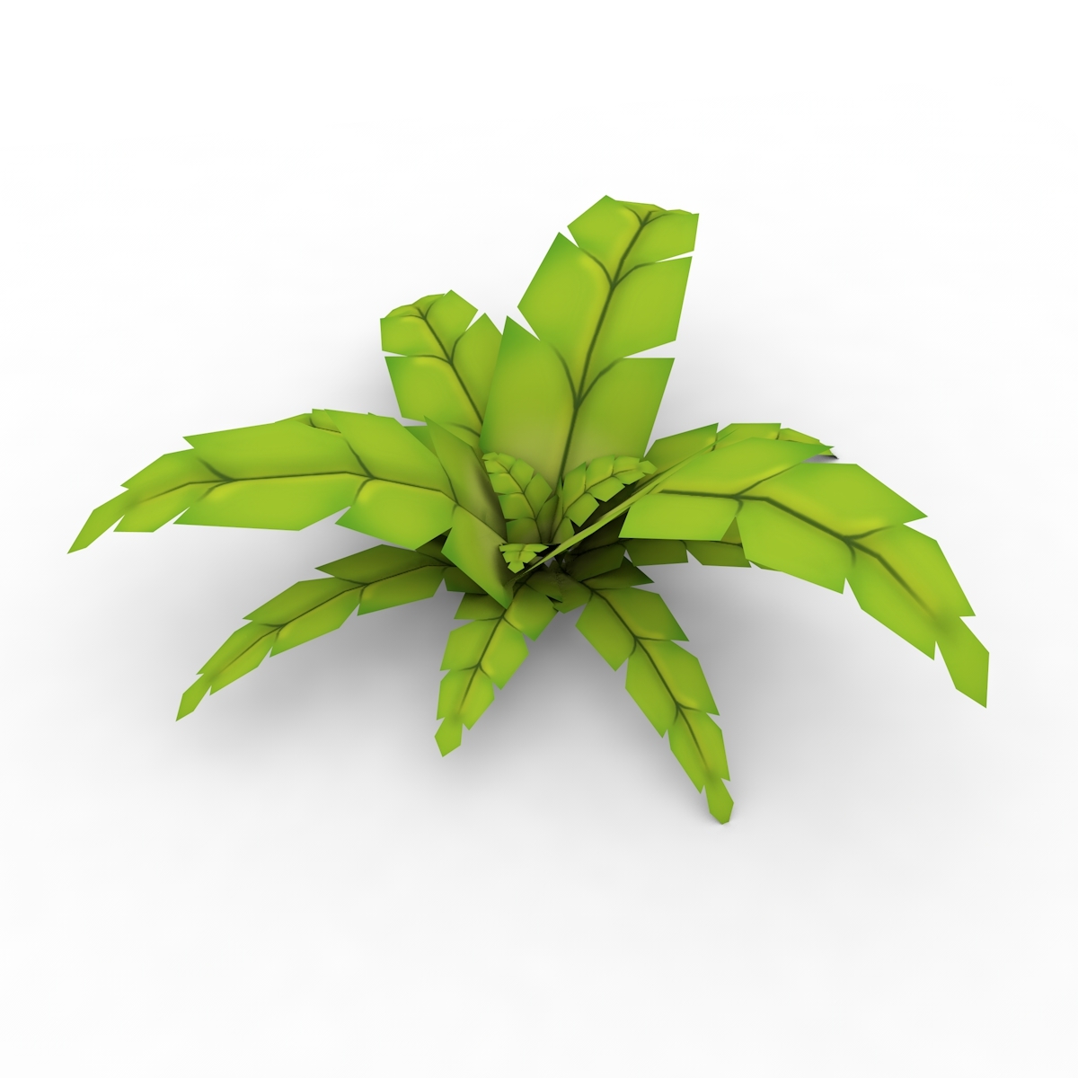 3d cartoon fern model