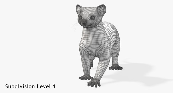 3d rigged marten fur animation