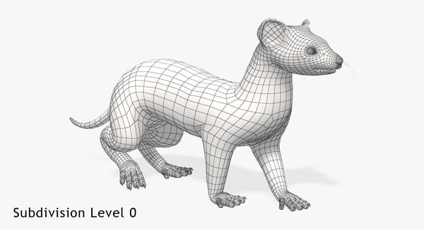 3d rigged marten fur animation