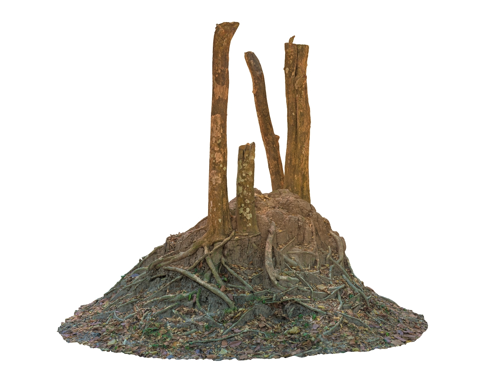 3d jungle tree ultra hd model