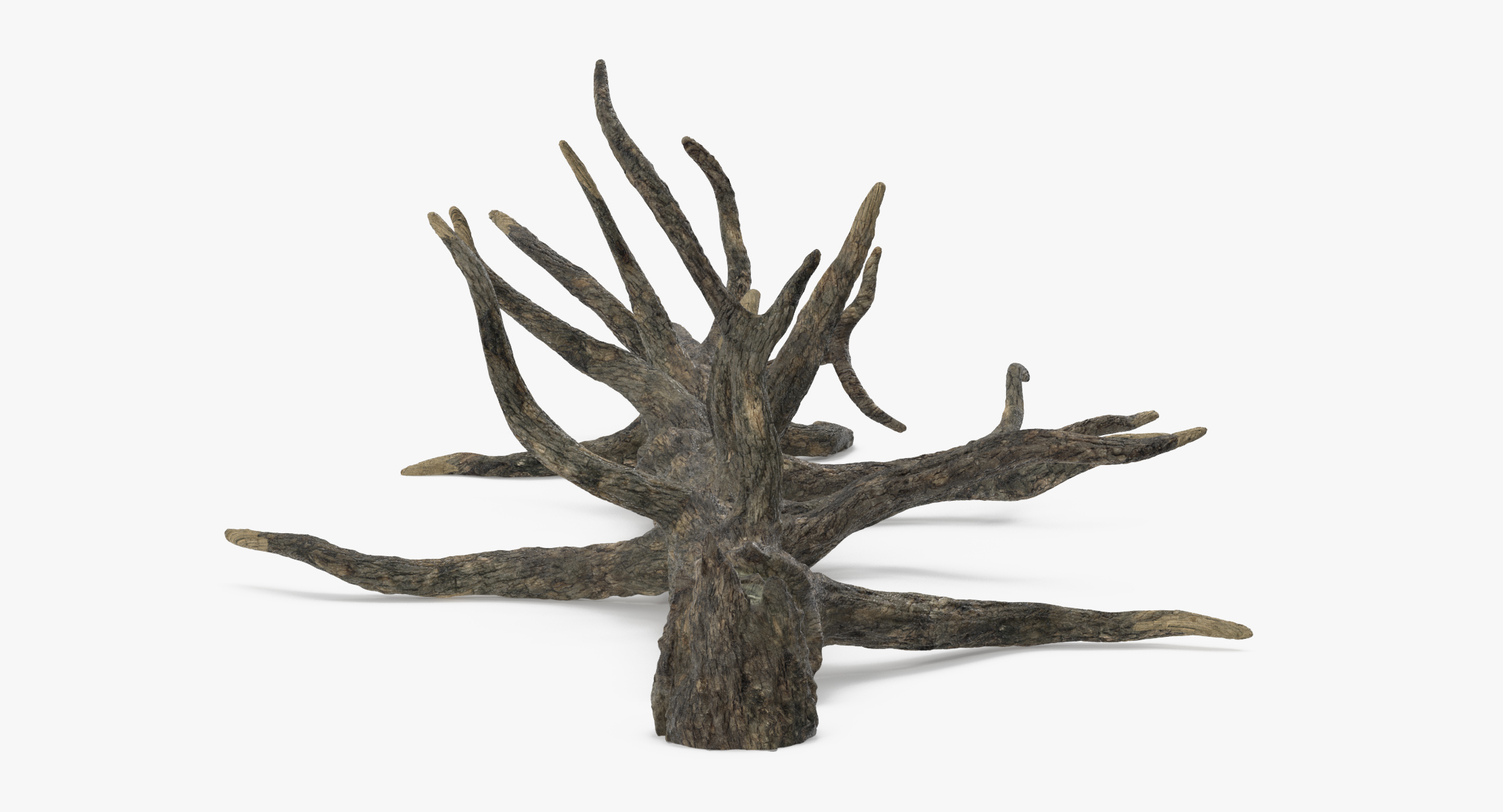 fallen tree 3d model