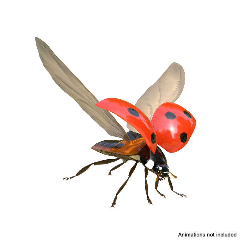max flying ladybug rigged