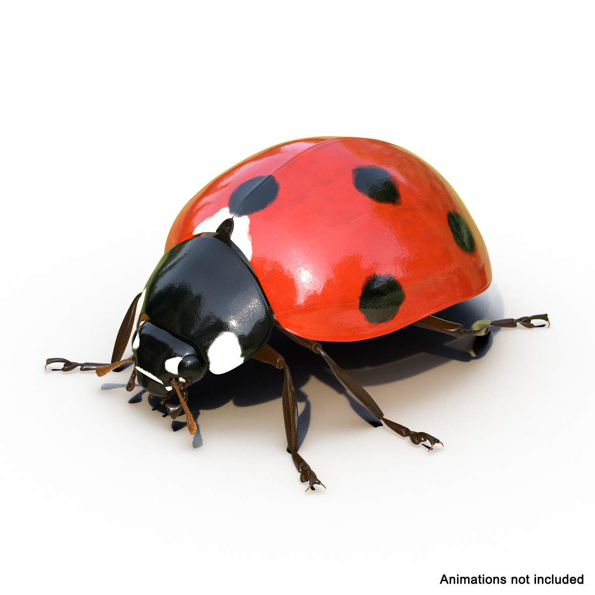 ladybug rigged max