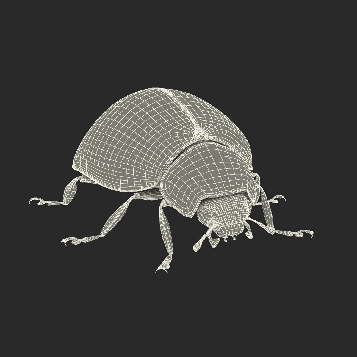 ladybug rigged max