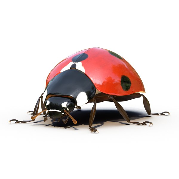 ladybug rigged max