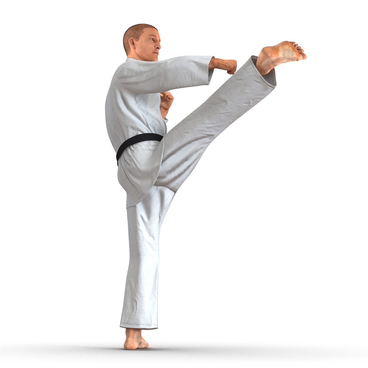 3d karate fighter pose 2