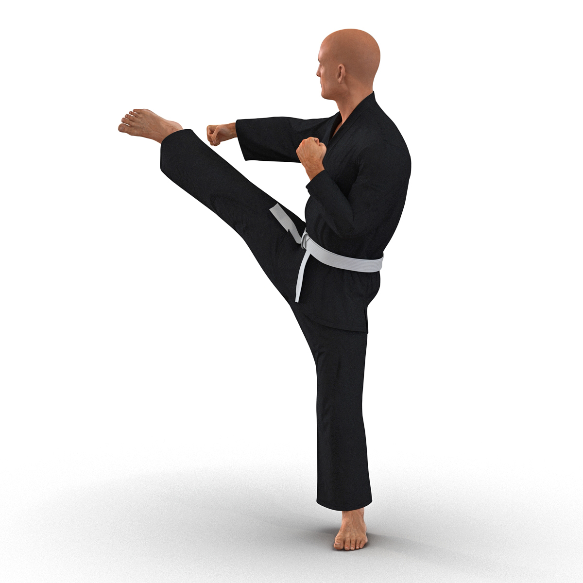 3d model karate fighter pose 2