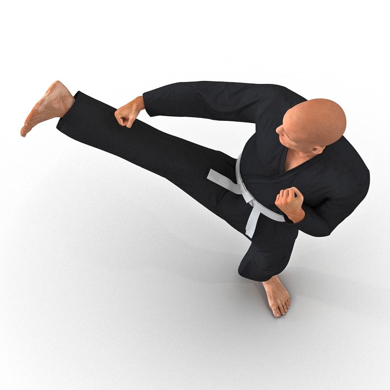 3d model karate fighter pose 2