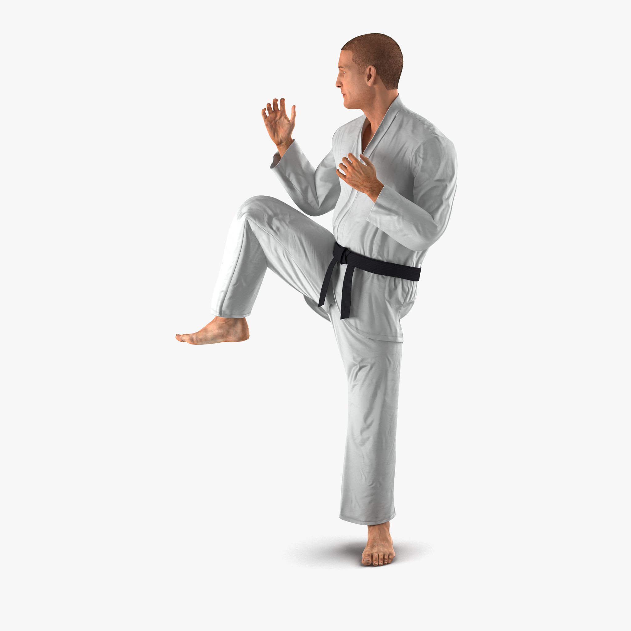 3d model karate fighter pose 3