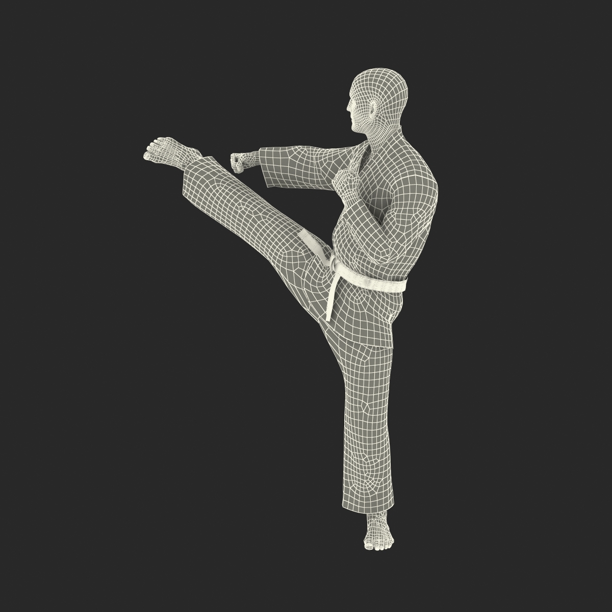 3d karate fighter pose 2