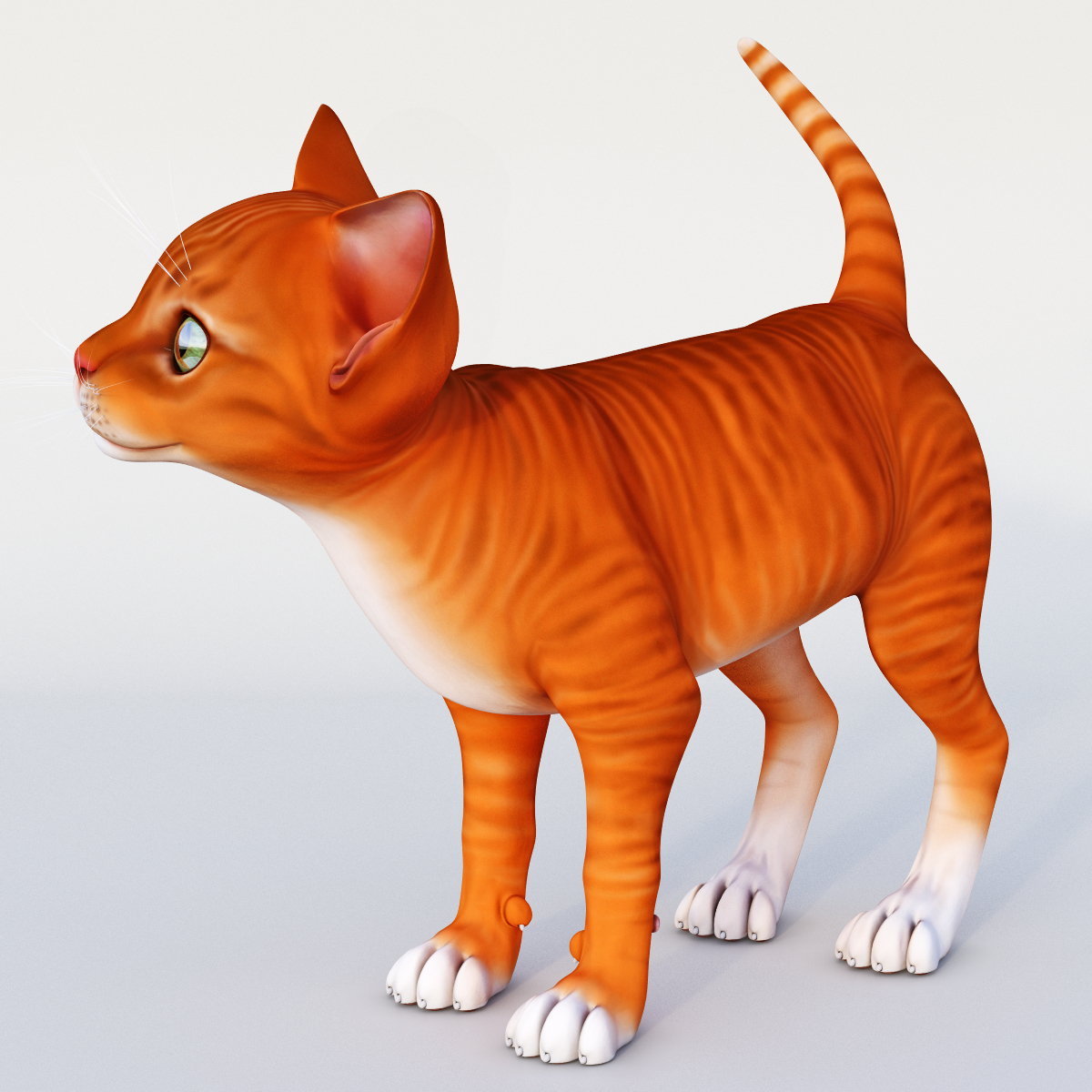 realistic red cat fur 3d model