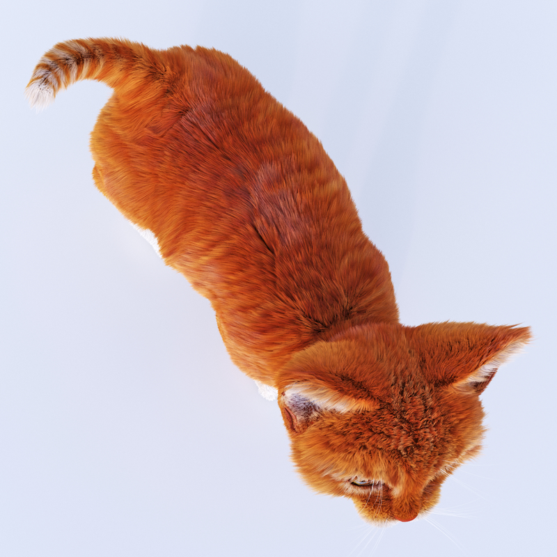 realistic red cat fur 3d model