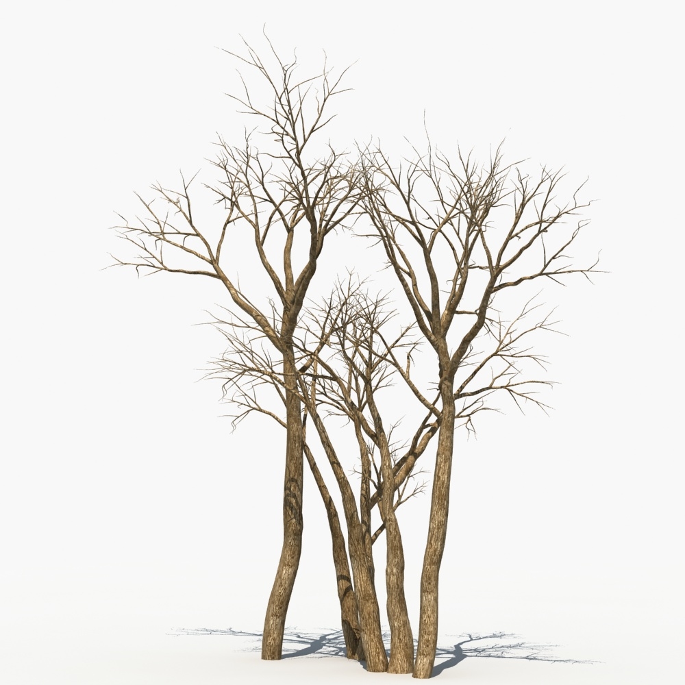 scary tree dry 3d x