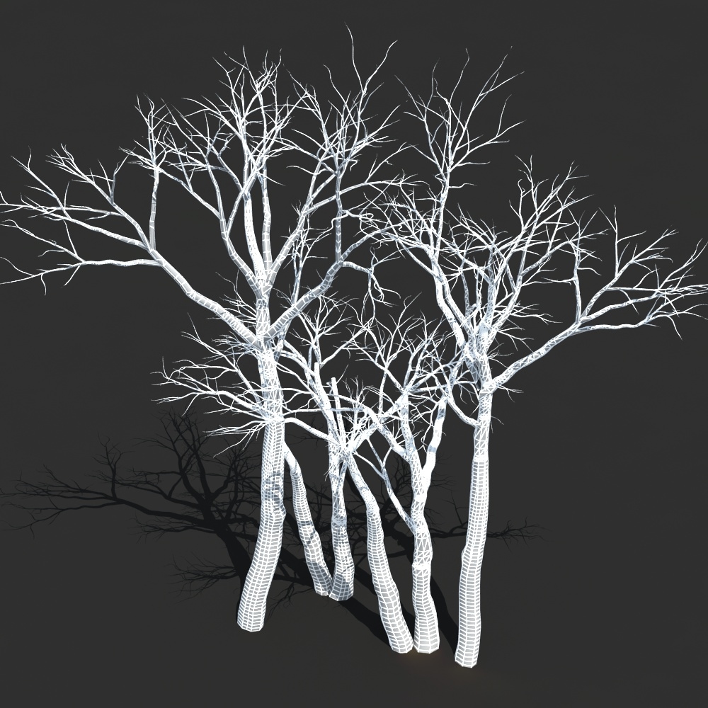 scary tree dry 3d x