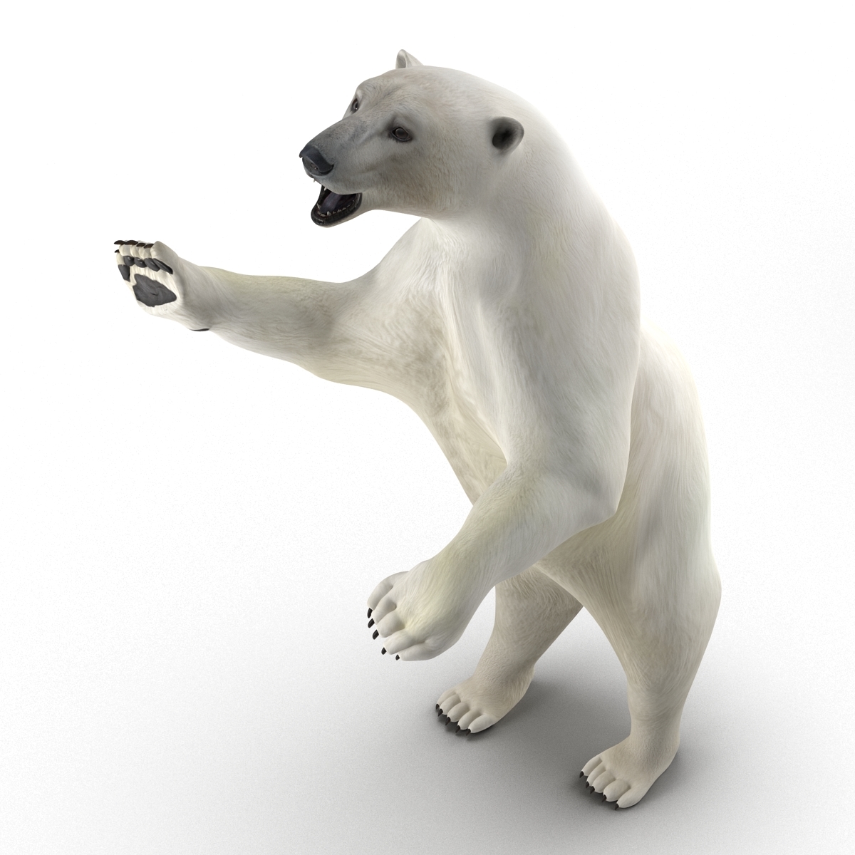 polar bear pose 3 3d model