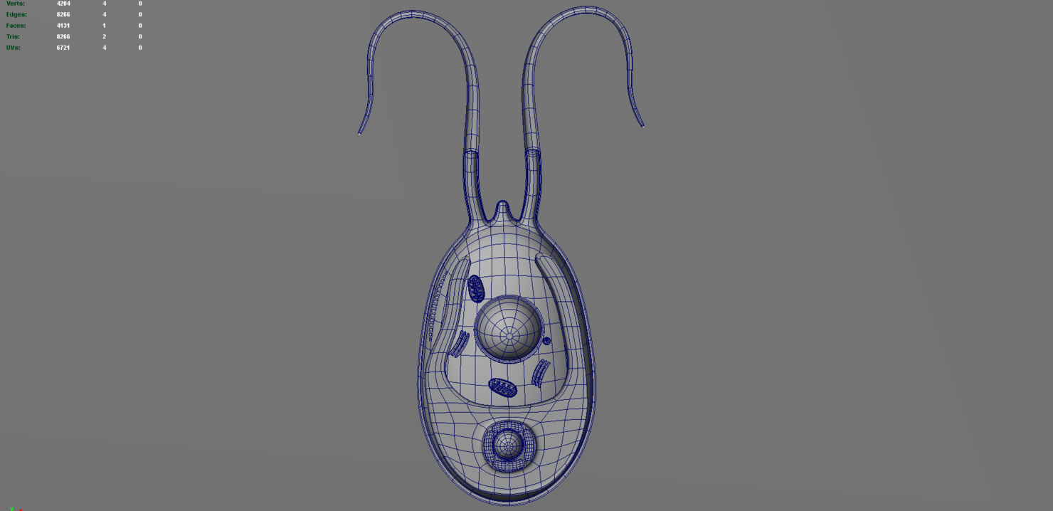 algae structure 3d model