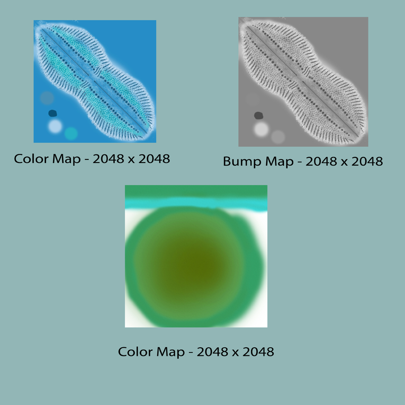 3d diatoms algae cells model