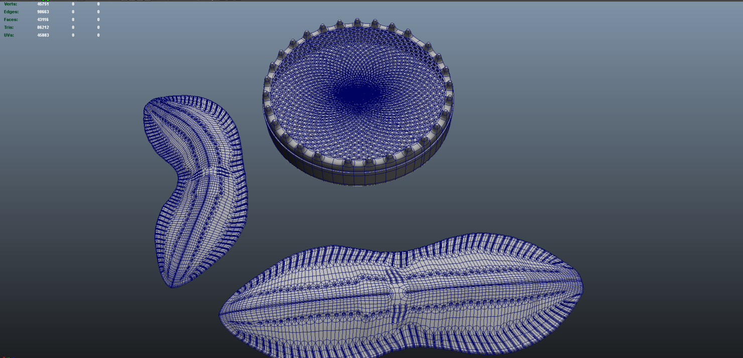 3d diatoms algae cells model