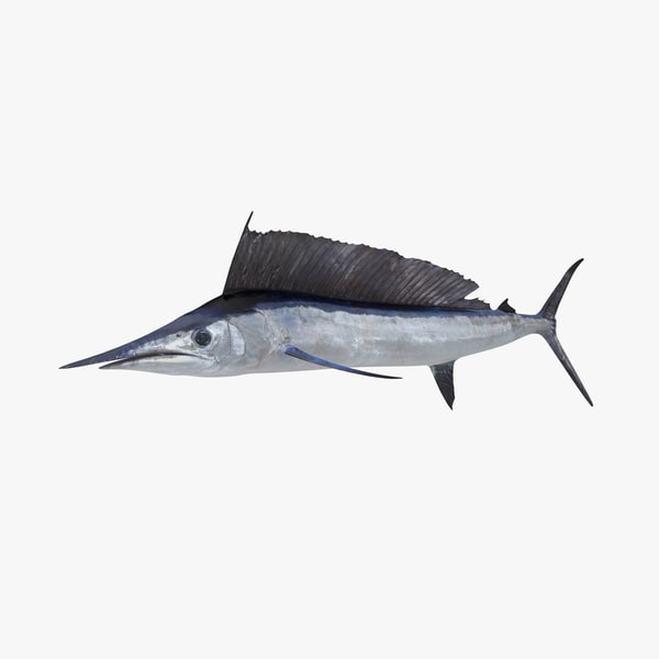 ocean 37 billfish max