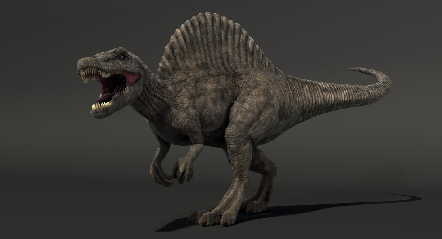 realistic spinosaurus rigged 3d model
