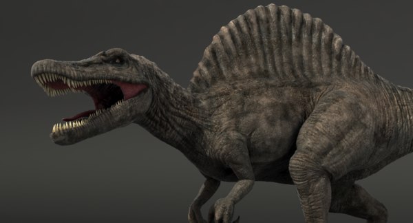 realistic spinosaurus rigged 3d model