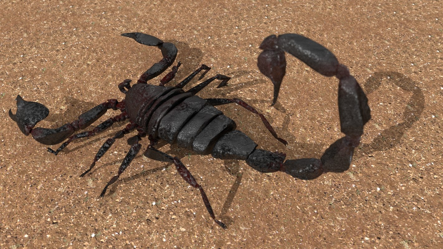 scorpion texturing 3d lwo