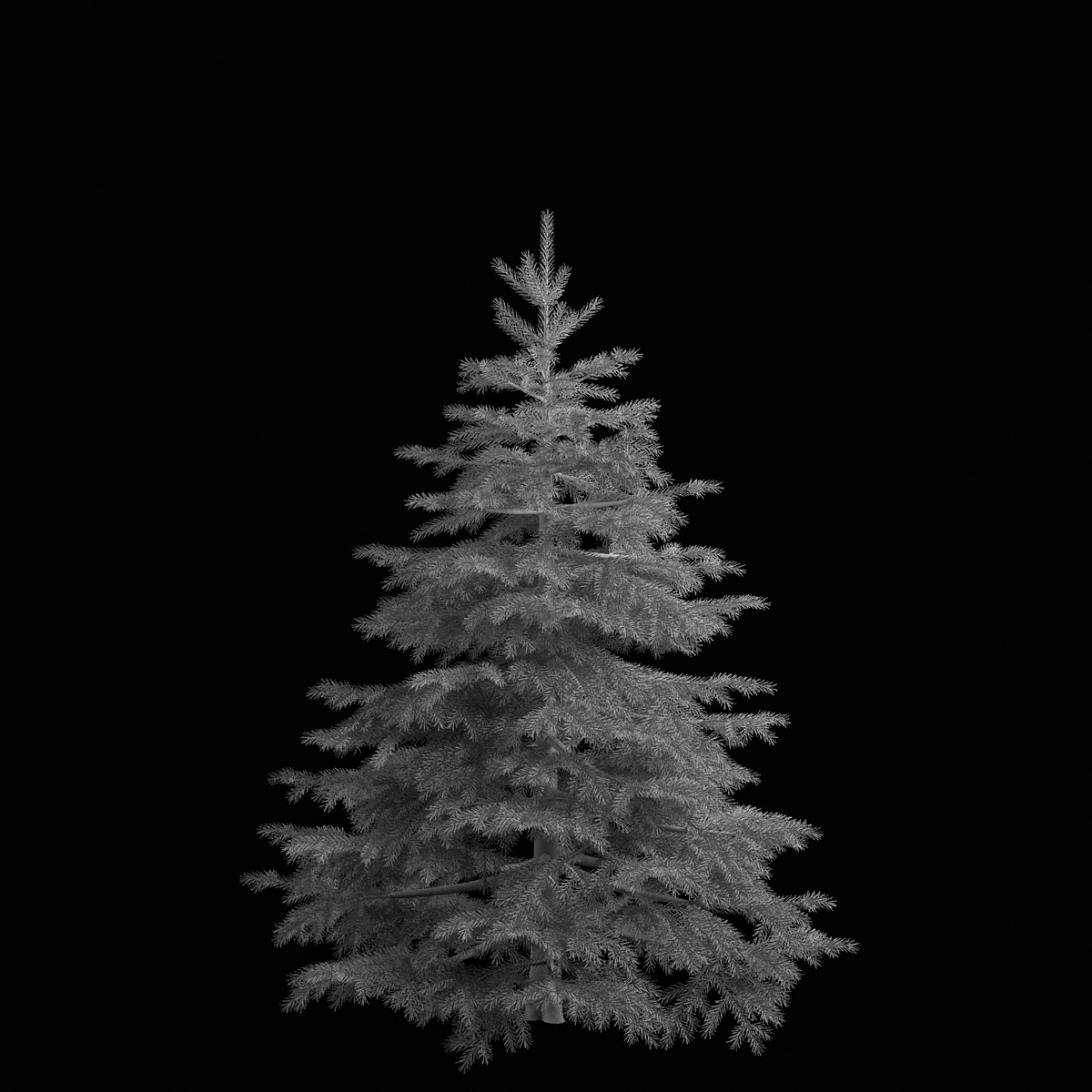 3d fir-tree 02 model