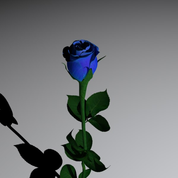 3d max beautiful blue rose