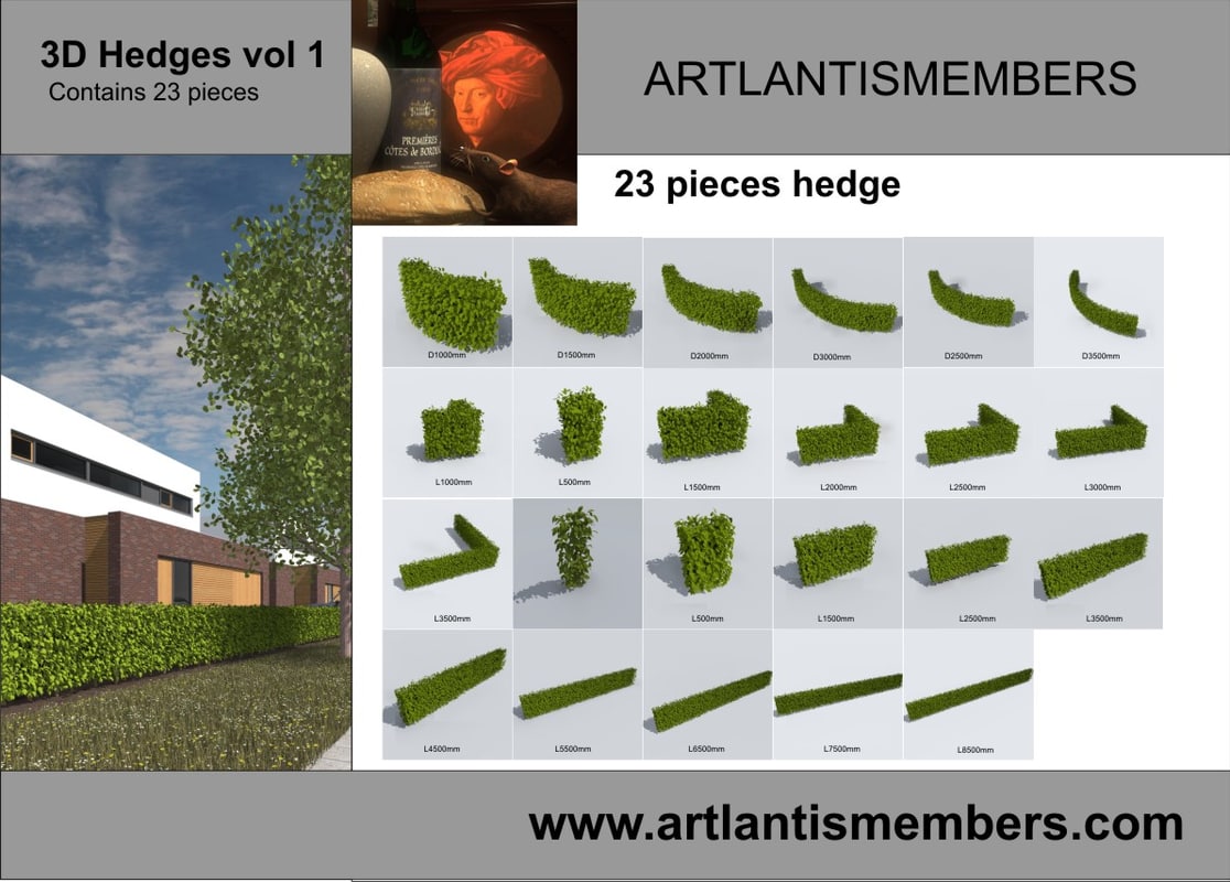 hedge 3d model