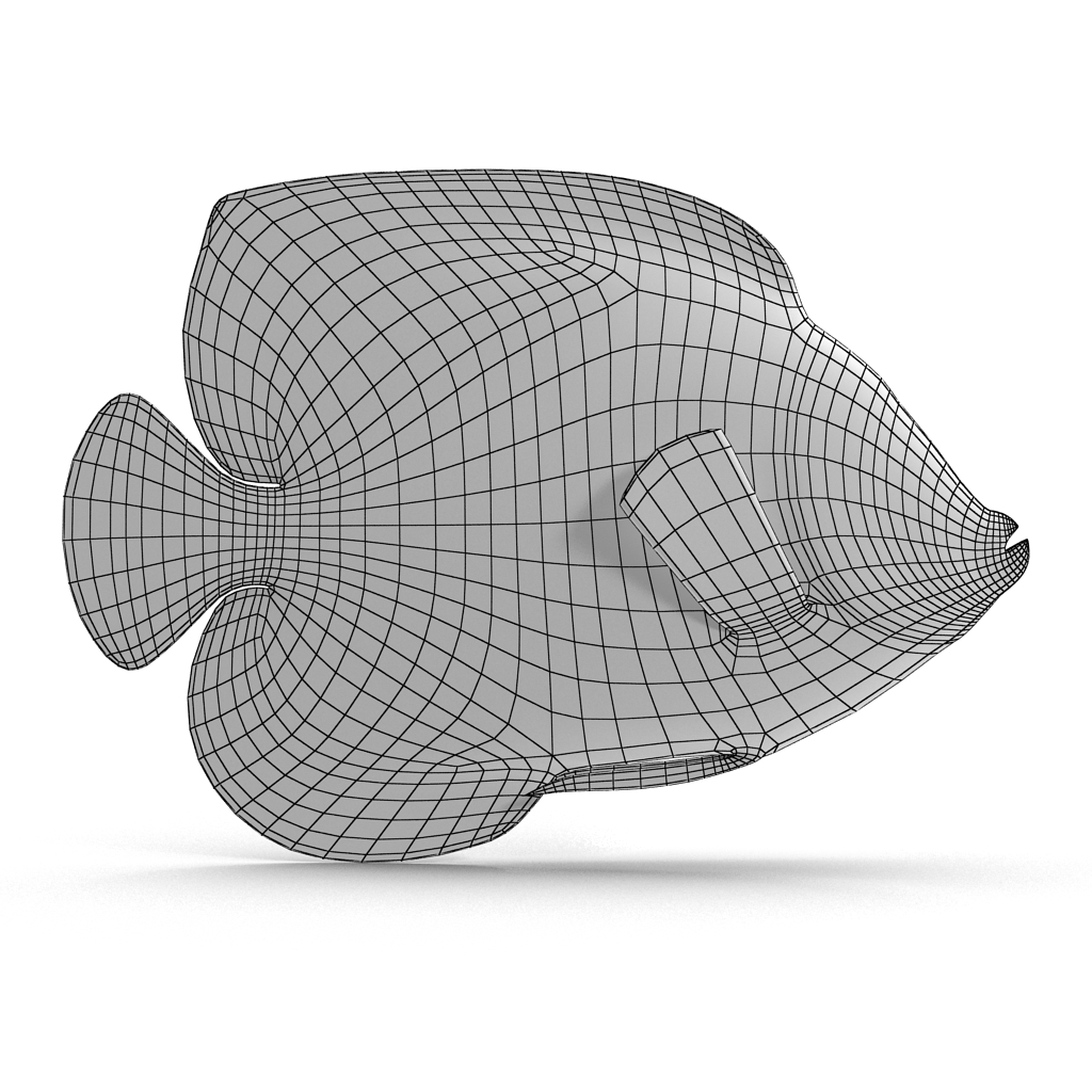 fish 3d model