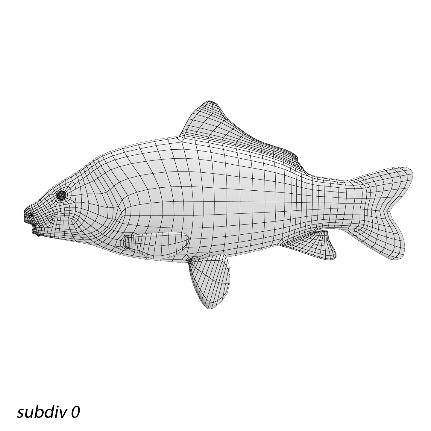 fish 3d model