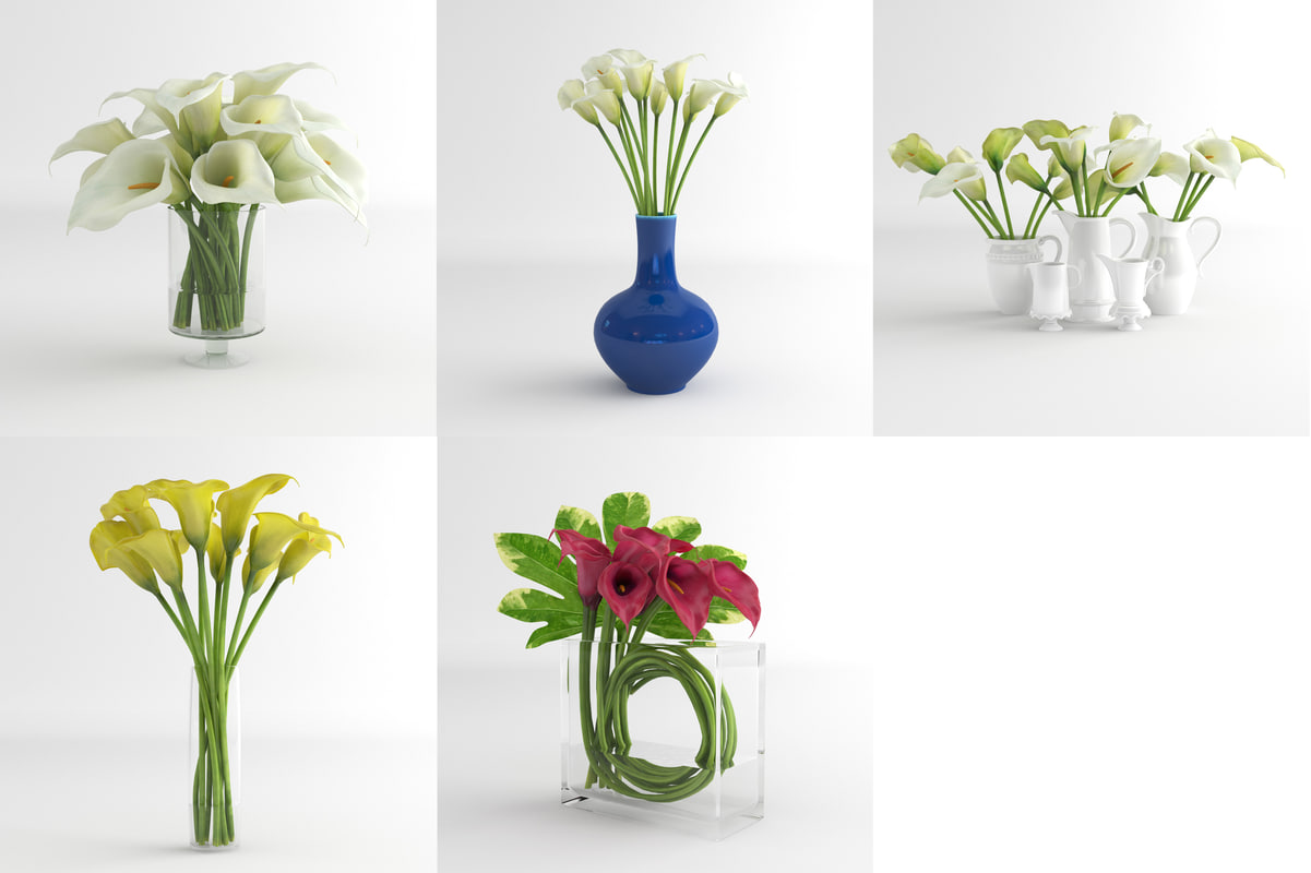 3d calla lily flower model