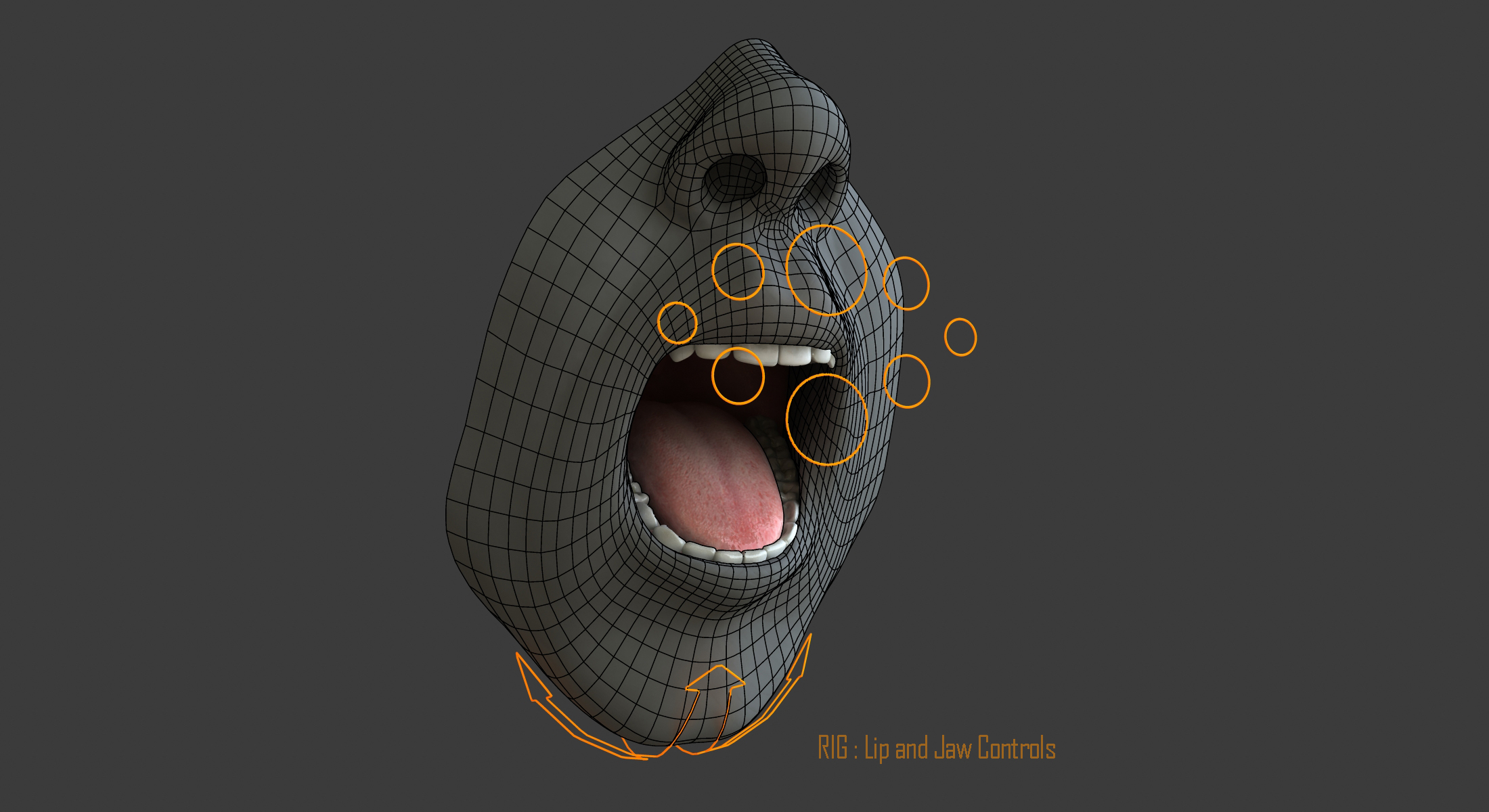 male mouth rig 3d model
