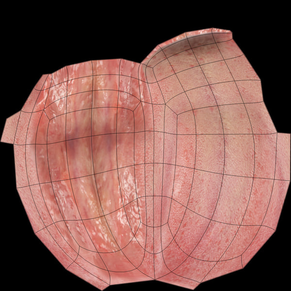 male mouth rig 3d model