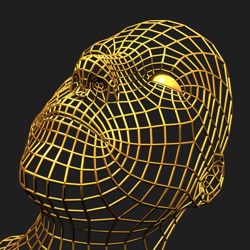 ma wireframe face wire