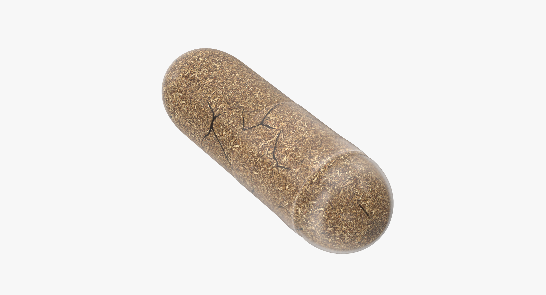 herbal pill 3d model