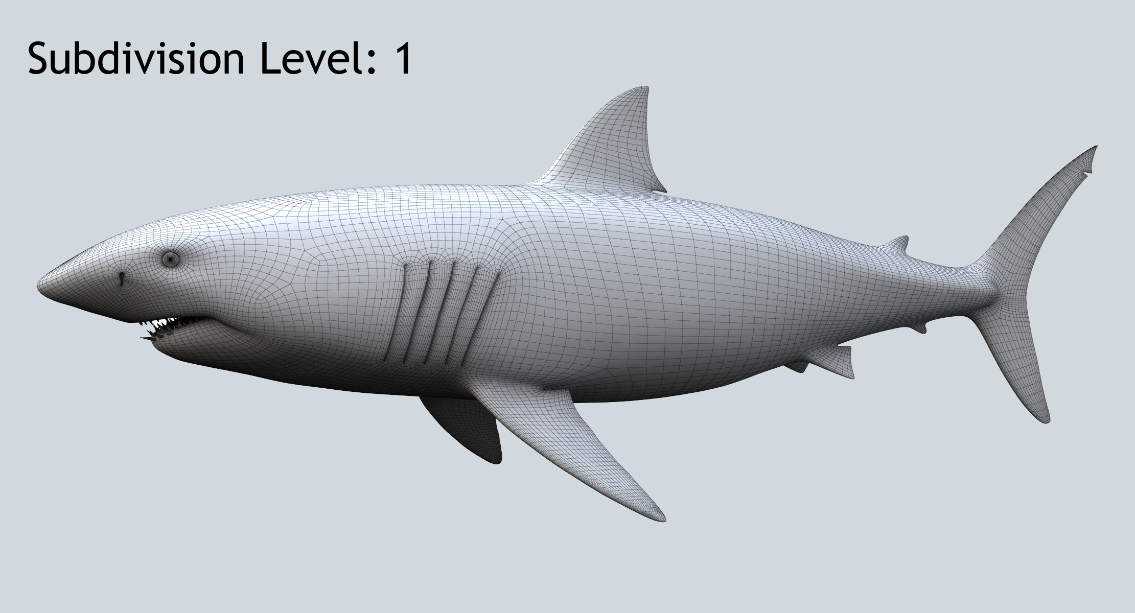 3d model shark rigged white