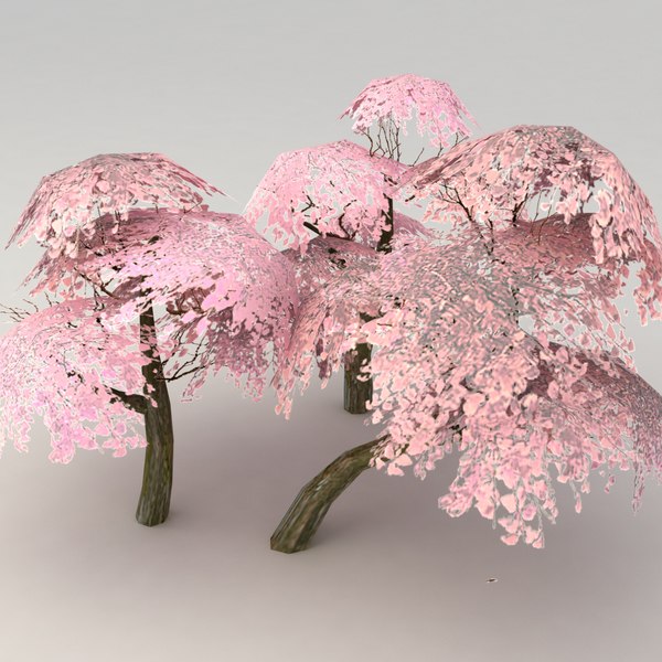 3D SAKURA Models | TurboSquid