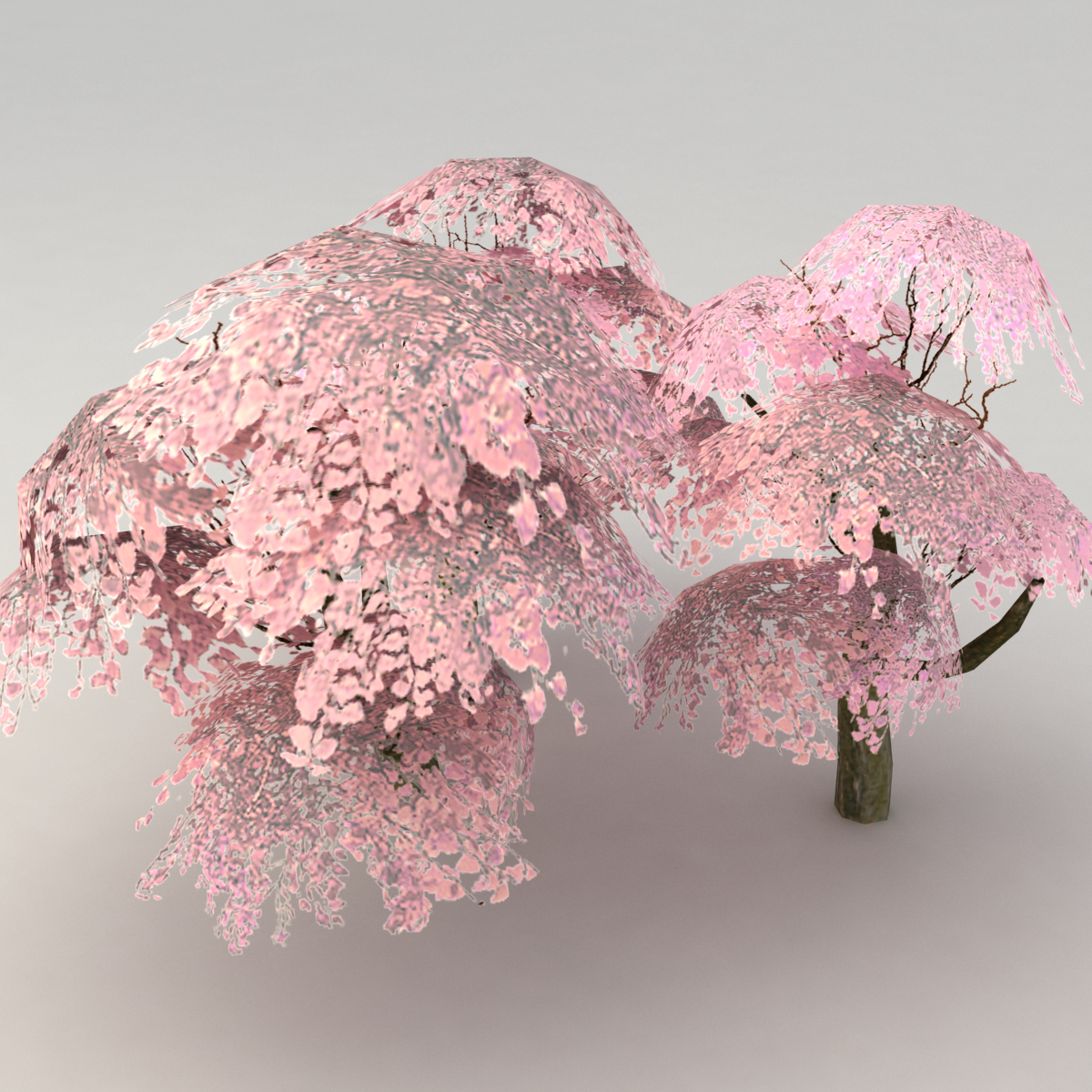 sakura set 3d max