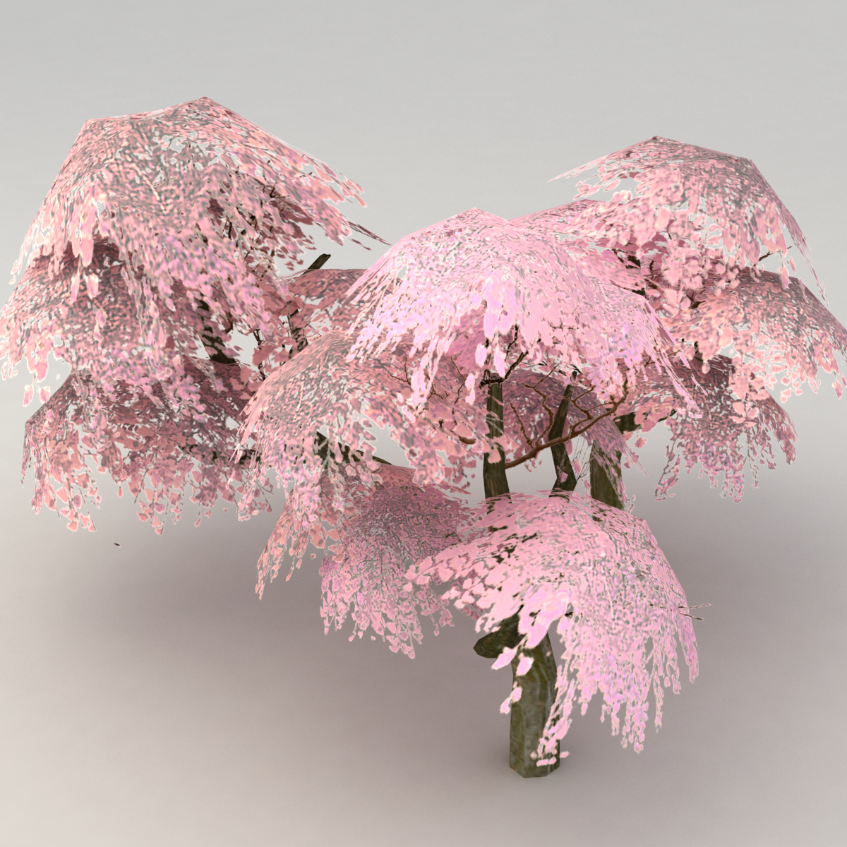 sakura set 3d max