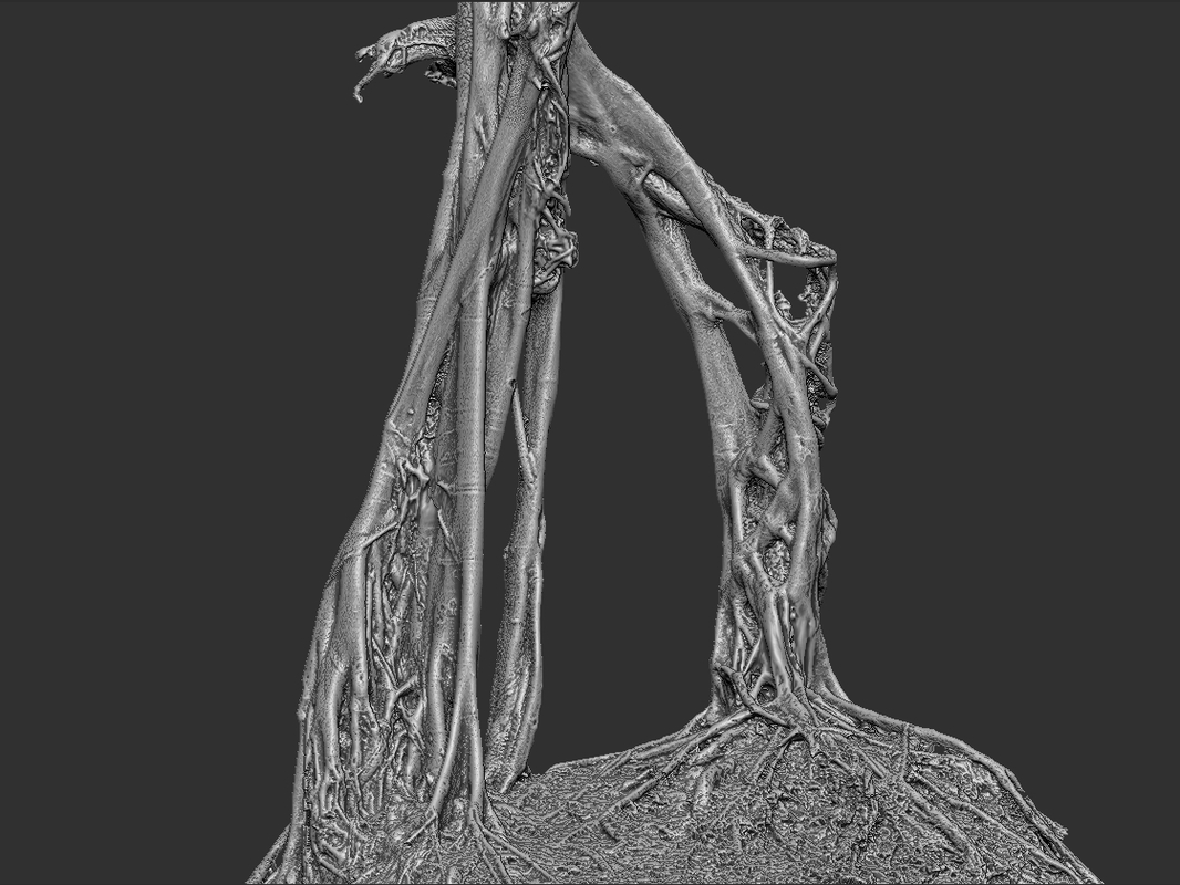 obj jungle liane tree 16k