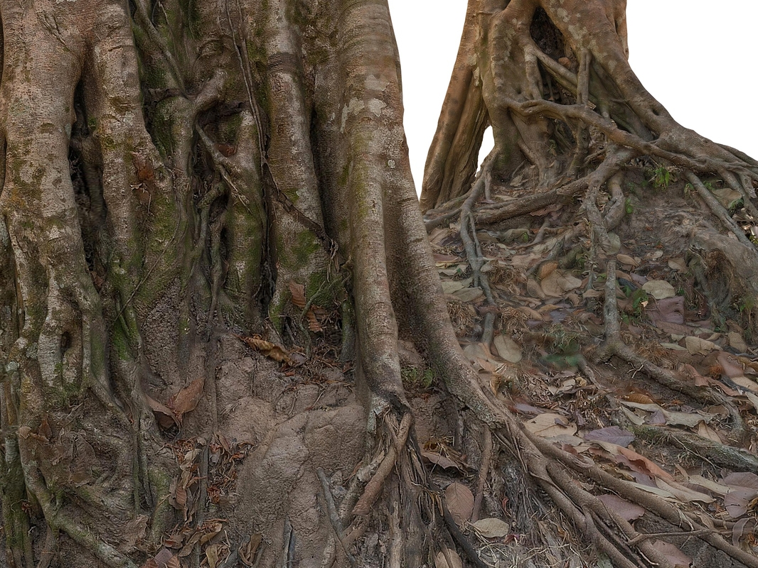 obj jungle liane tree 16k