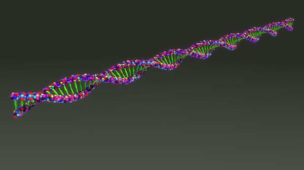 3d dna