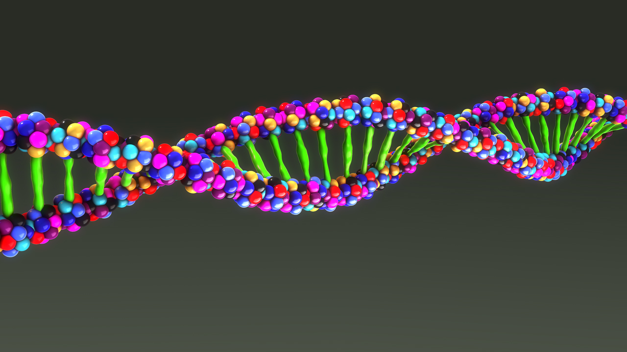 3d dna