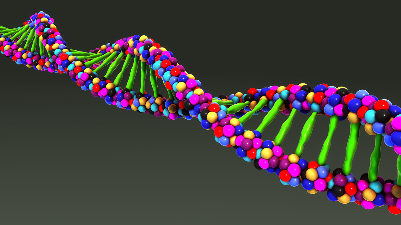 3d dna