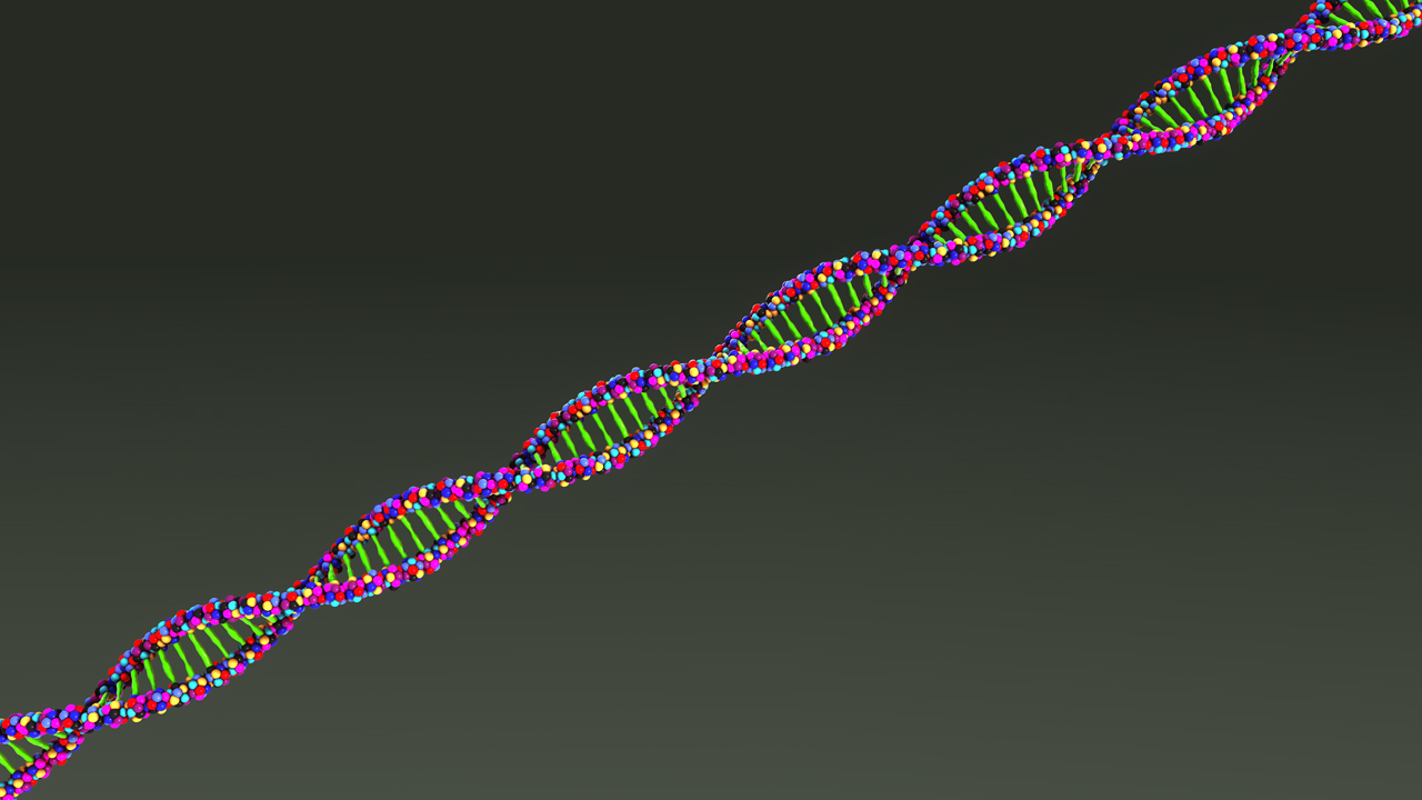 3d dna